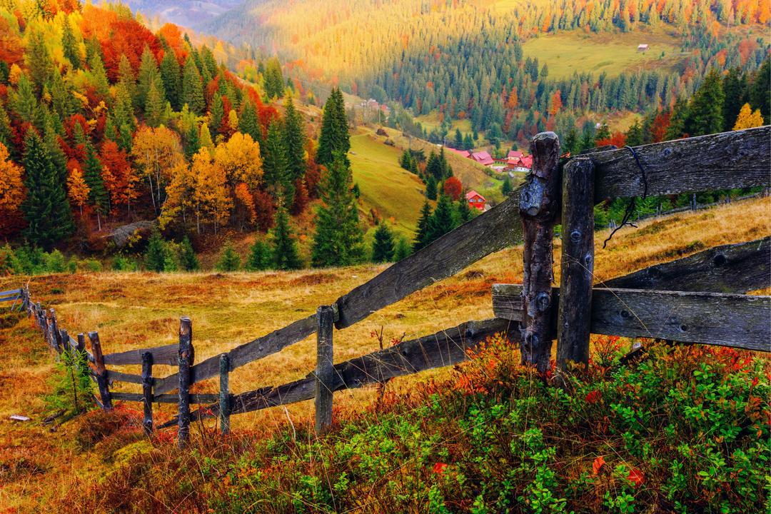 Carpathian Mountains — Where to go and rest? | Planet of Hotels