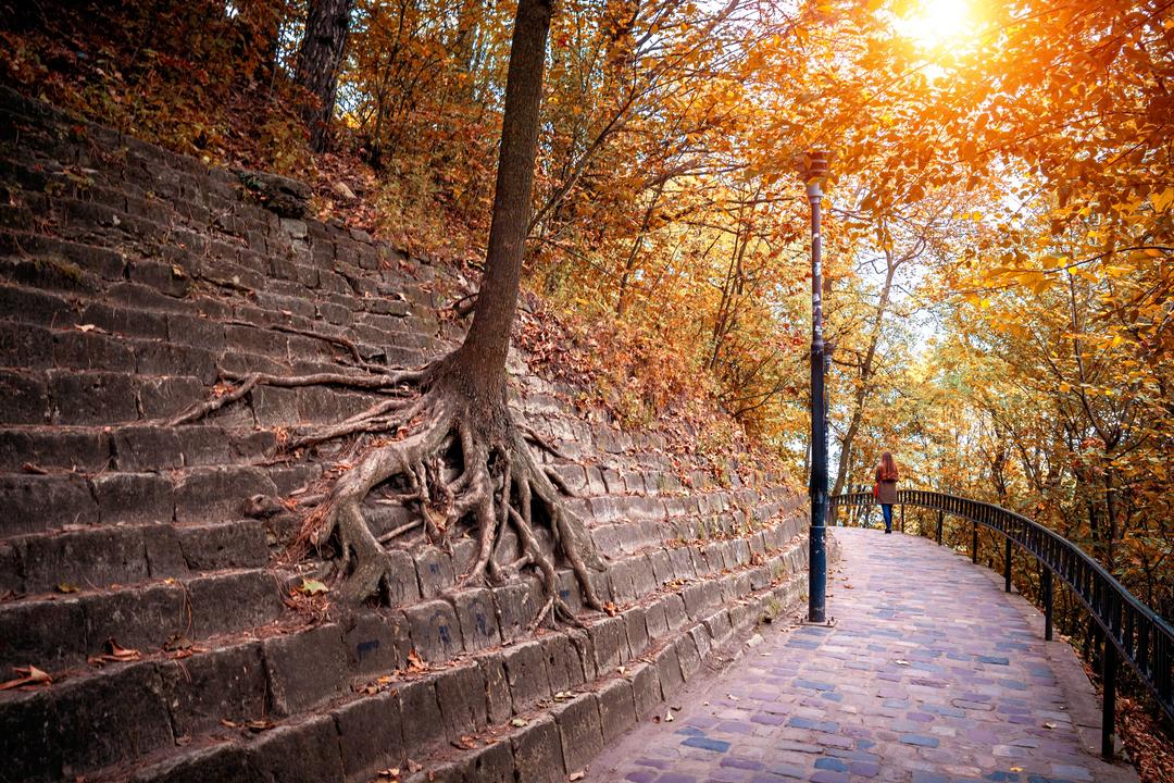 Best Things to Do in Lviv in 3 Days | Planet of Hotels