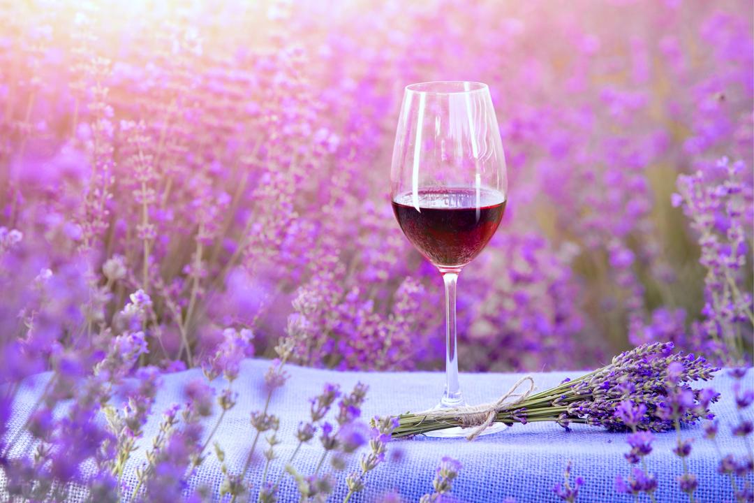 Guide to French wine regions | Planet of Hotels