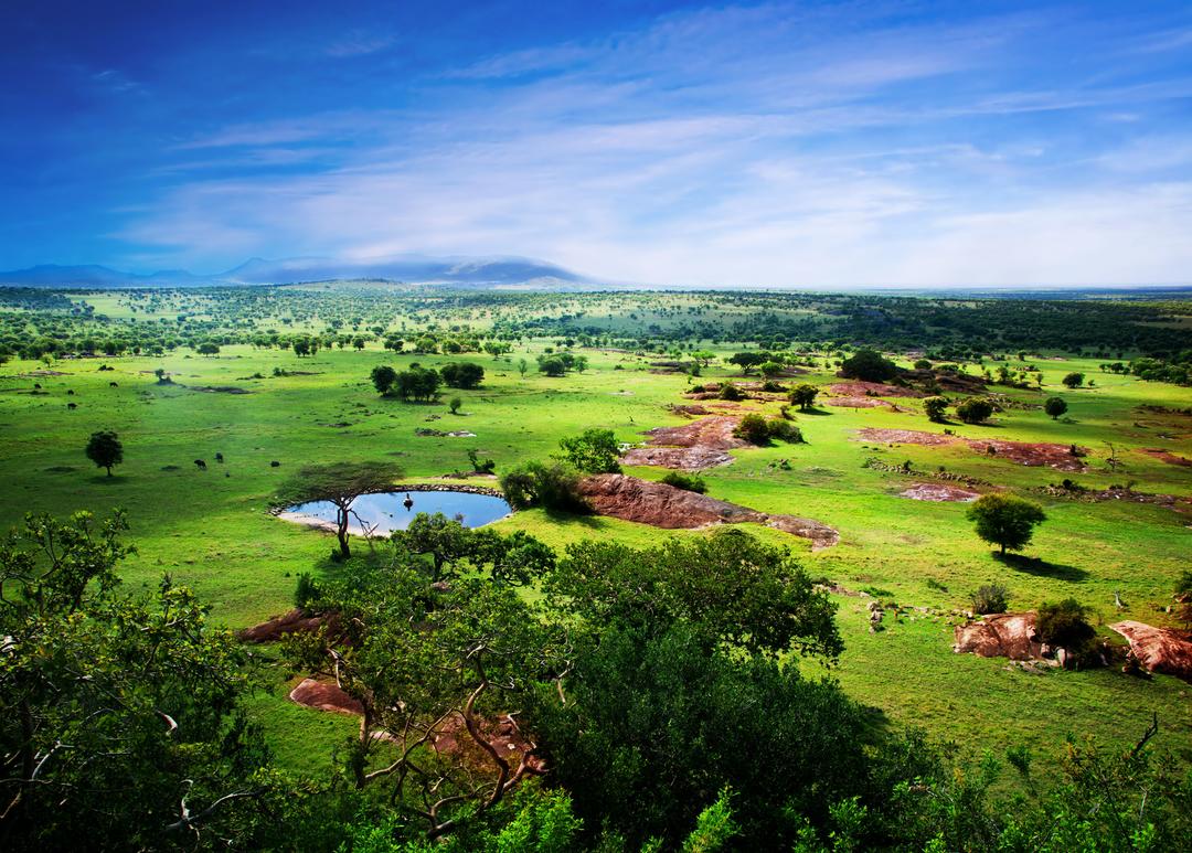15 Best African safari for any traveler | Planet of Hotels