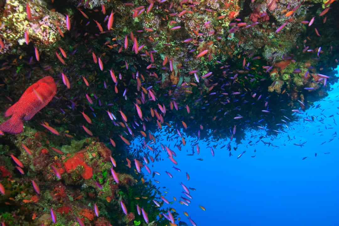 22 Best Places to Snorkel in the World | Planet of Hotels