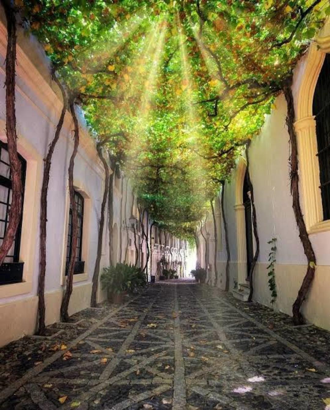 30 World's Most Beautiful Streets | Planet of Hotels