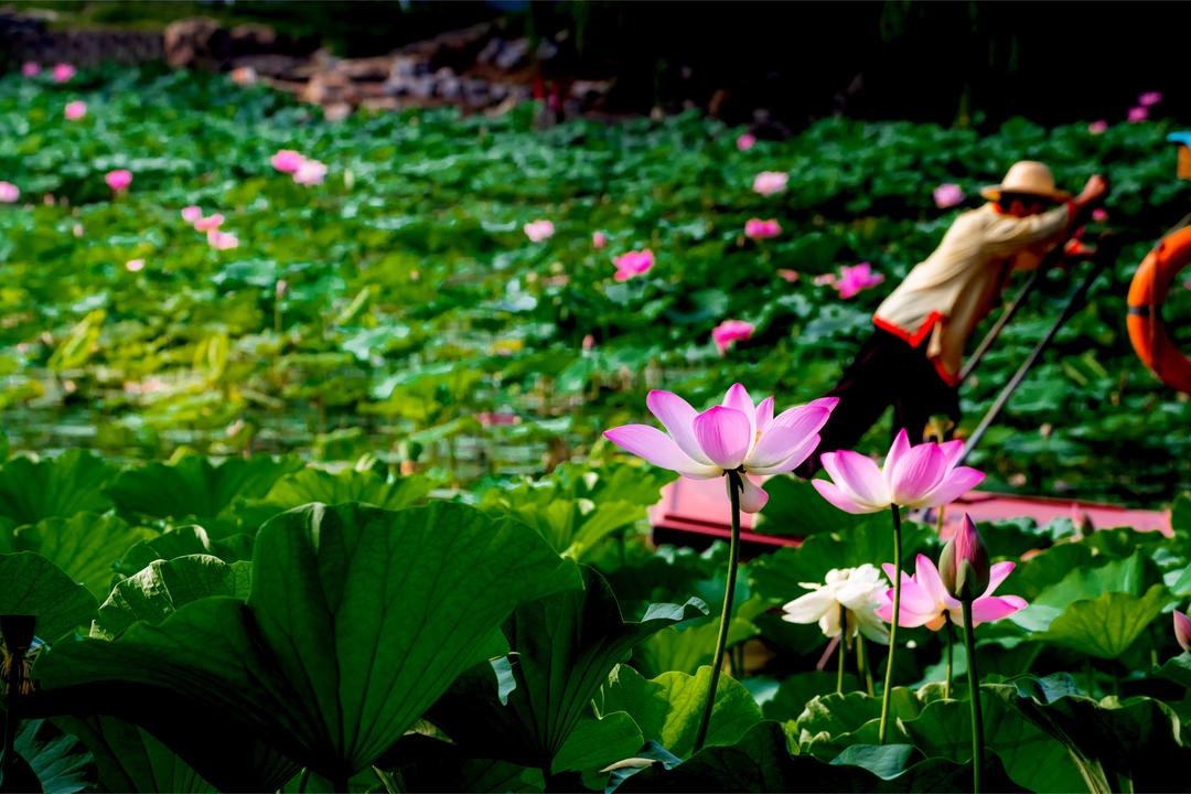 Events and Festivals in Beijing | Planet of Hotels