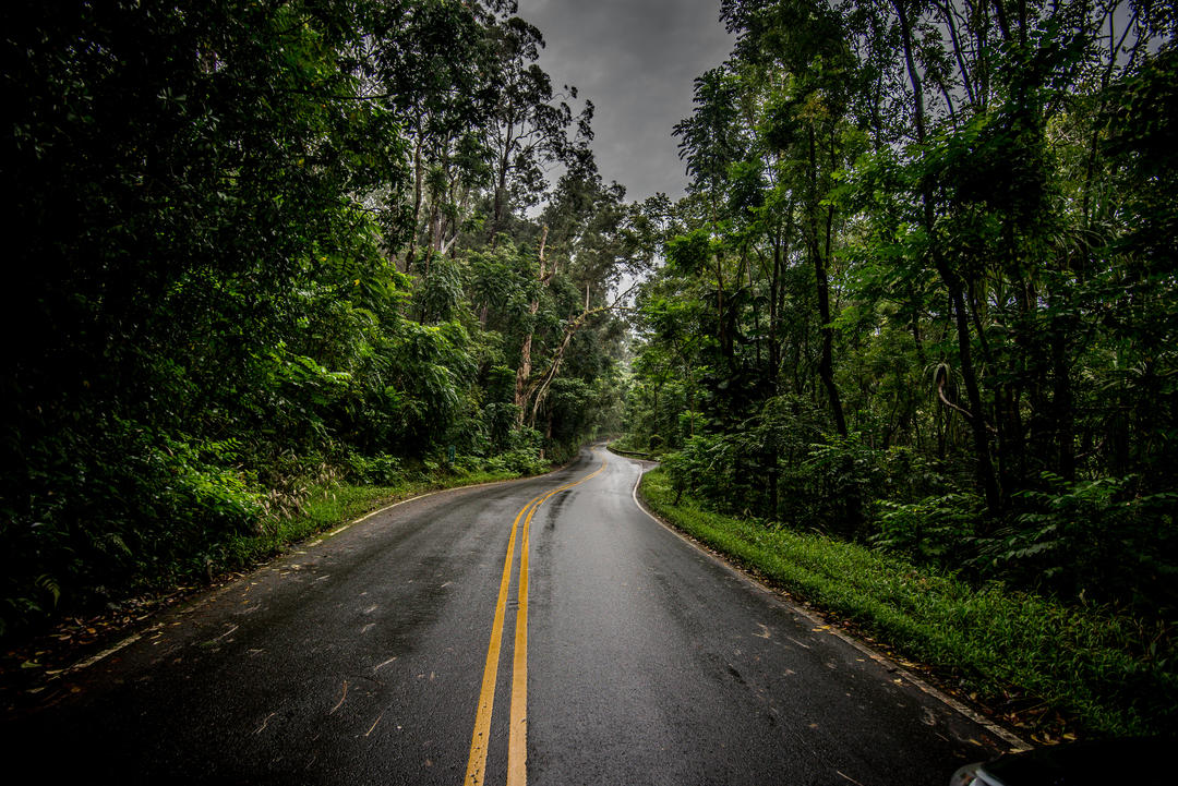 Top 30 Scenic Drives on the Most Beautiful Roads in the World | Planet ...