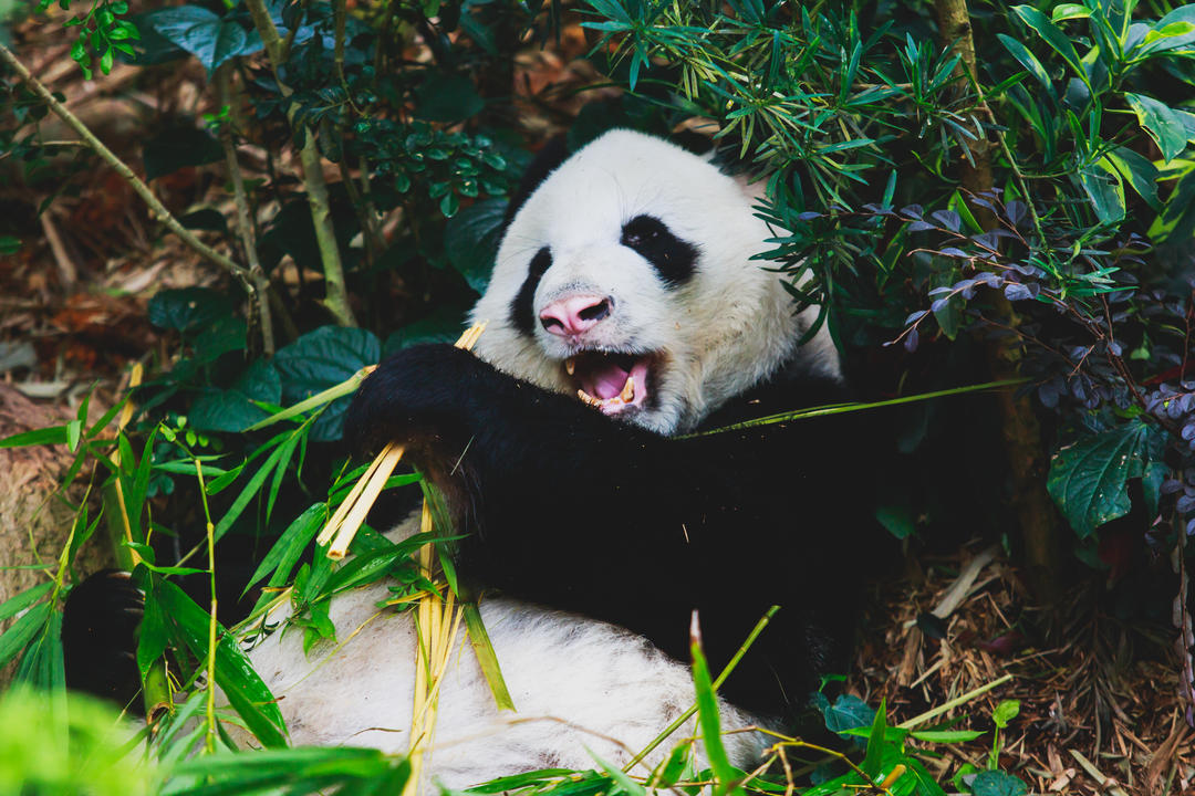 25 best things to do in Shanghai and must-see attractions | Planet of ...