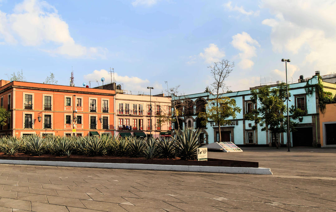 Things to do in Mexico City — the best attractions and activities ...