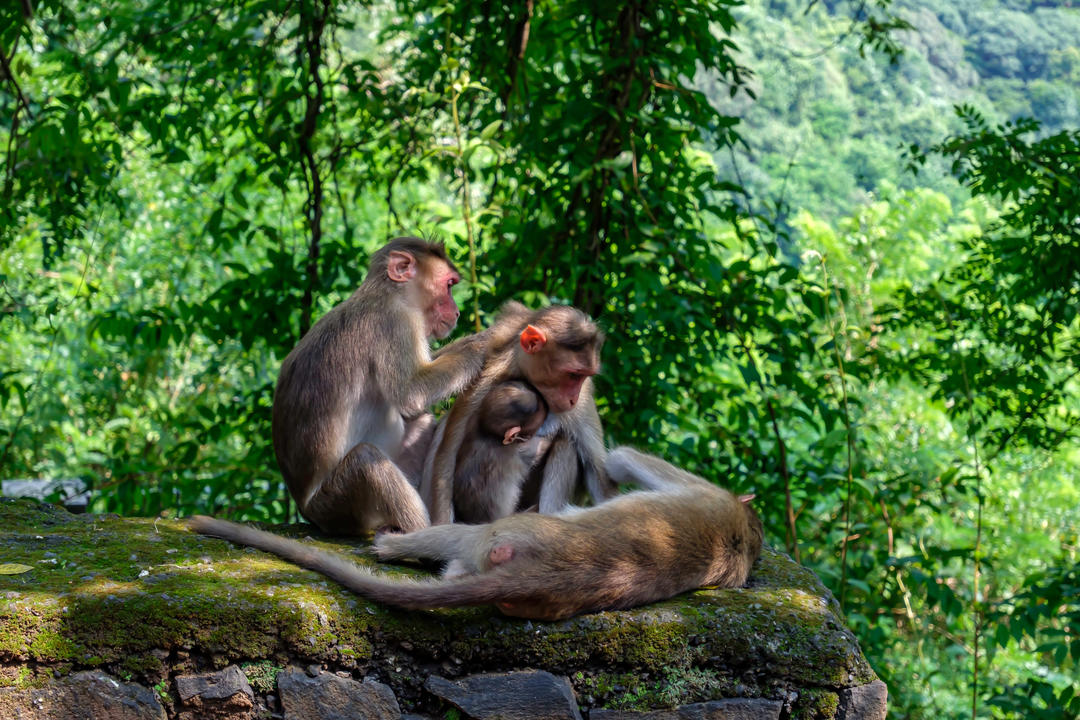 Things to do in Mumbai - best attractions and sightseeing | Planet of ...