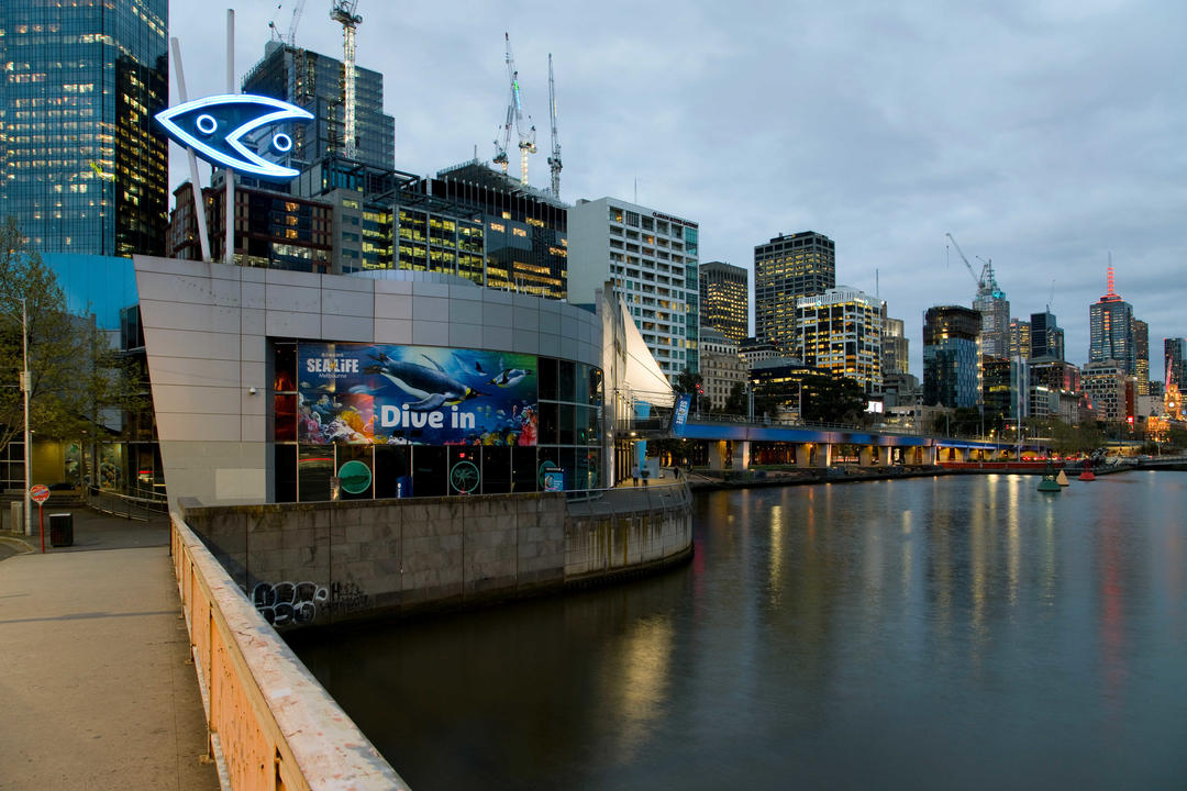 Things to do in Melbourne - 21 best attractions and activities | Planet ...