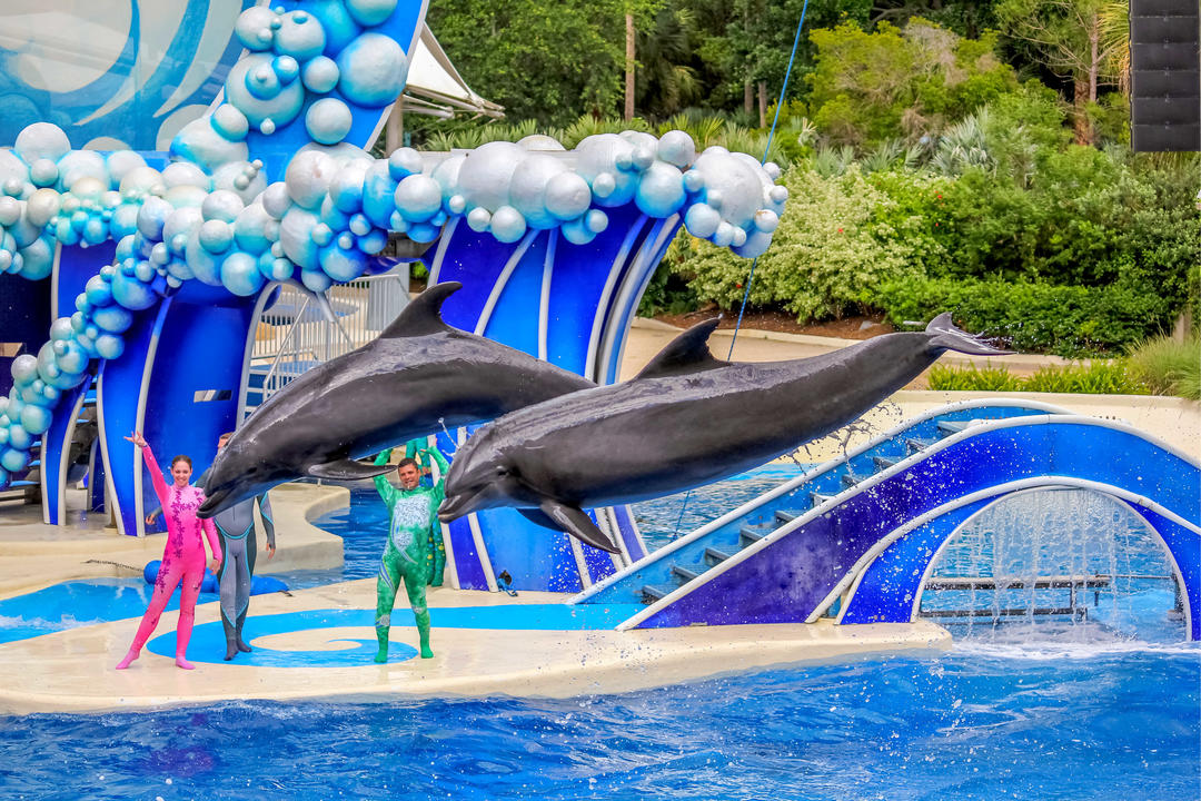 SeaWorld Orlando - Discovery Cove & Aquatica