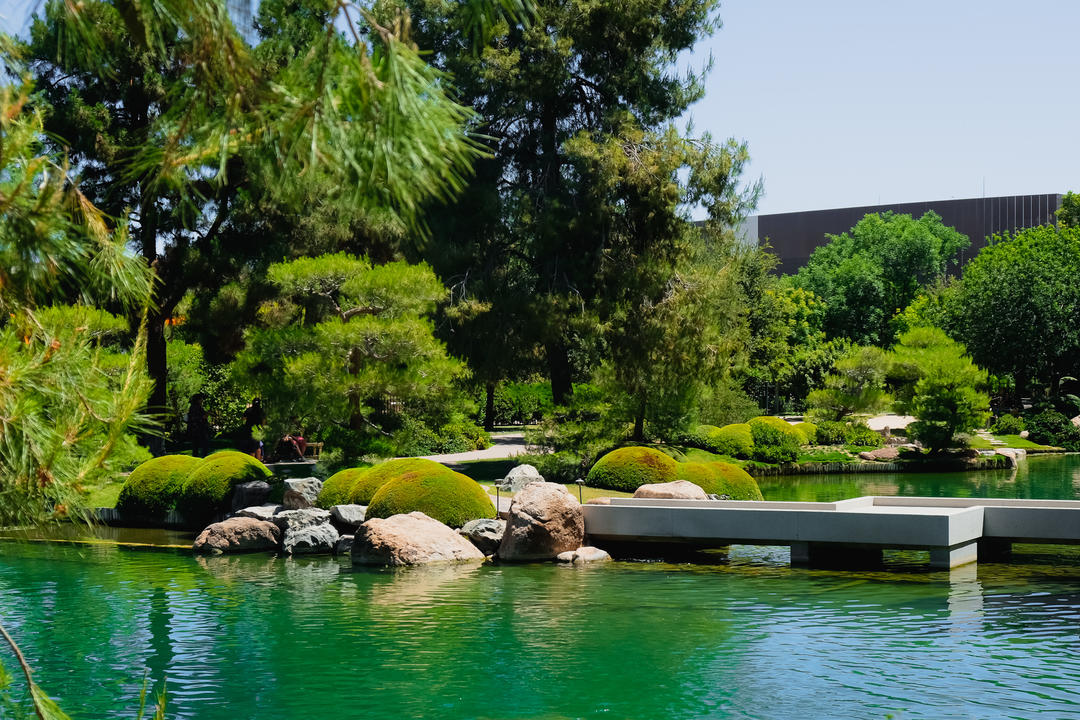 Things to do in Phoenix, Arizona — 25 best attractions and activities ...