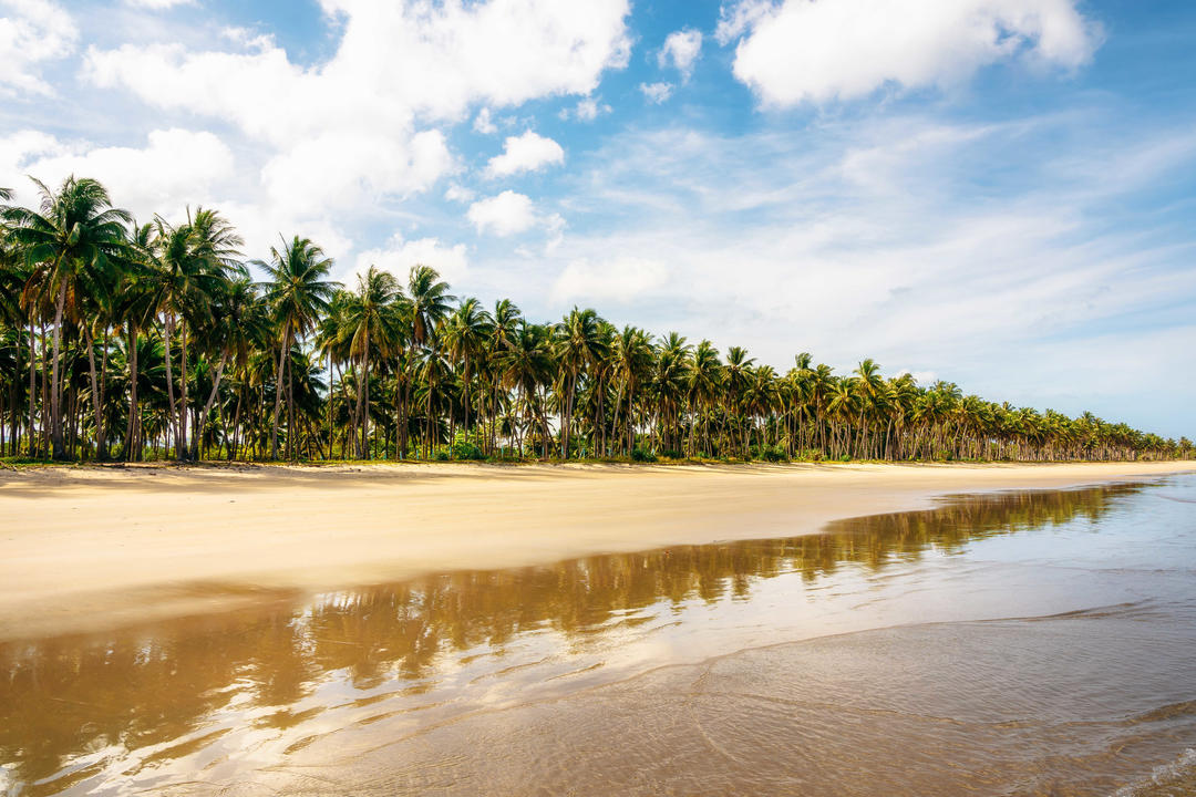 The Best Beaches in the Philippines you must visit | Planet of Hotels