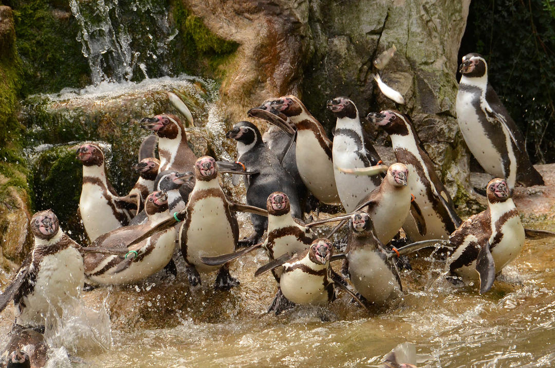 16 best zoos in the world | Planet of Hotels