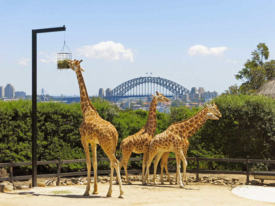16 best zoos in the world | Planet of Hotels
