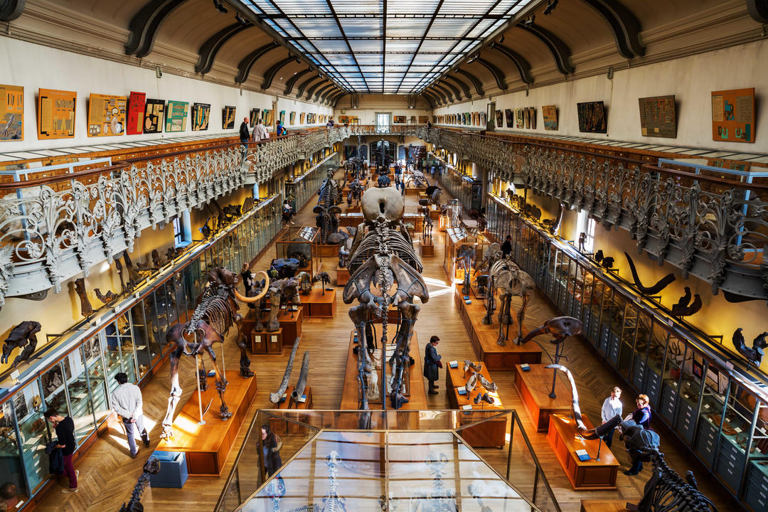 National Museum of Natural History in Paris, description of the complex