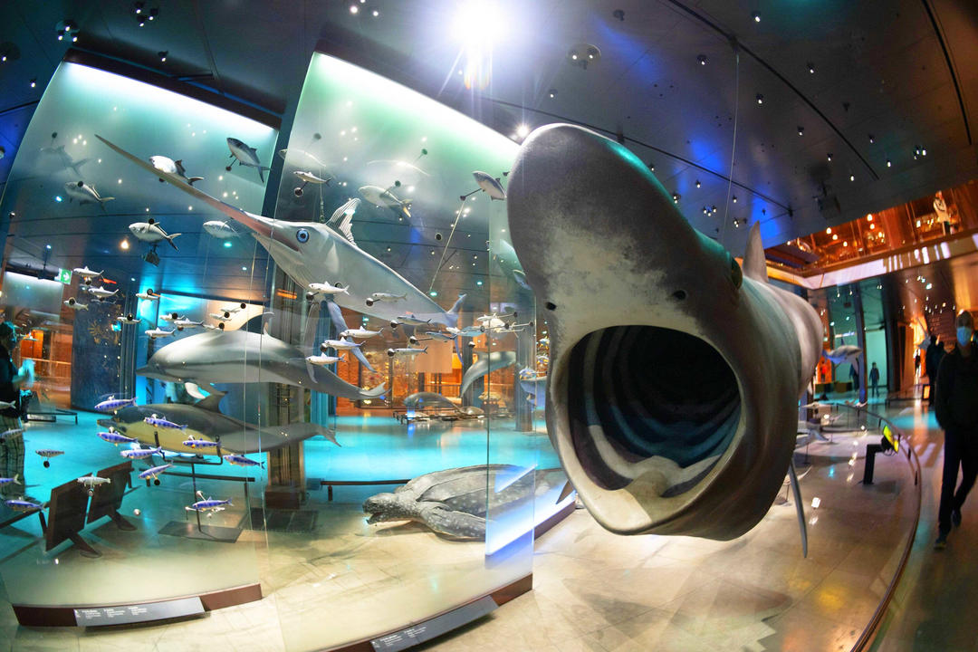 National Museum of Natural History in Paris, description of the complex