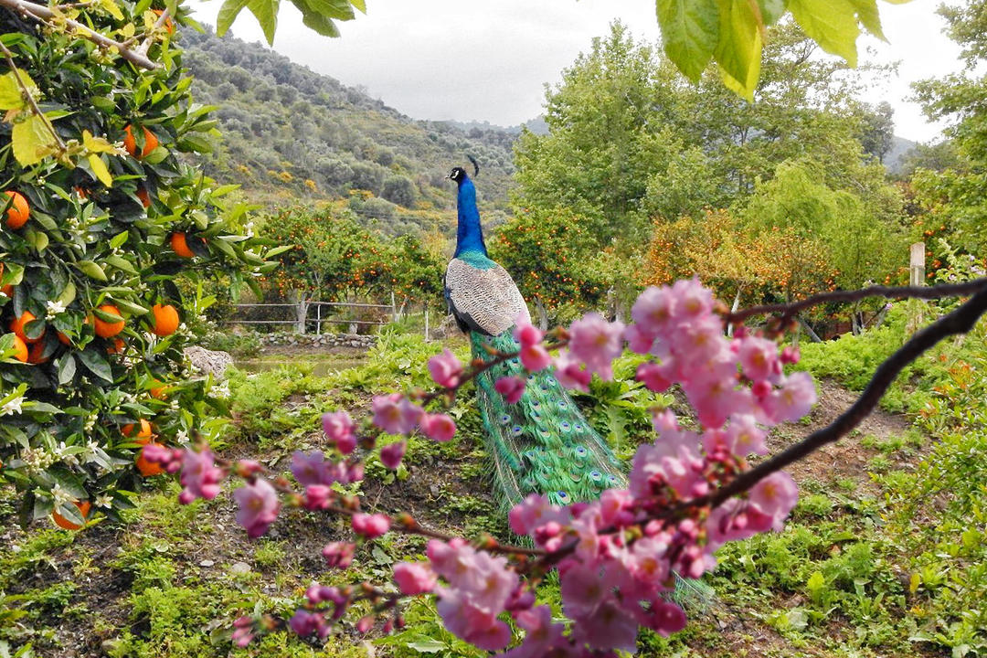 The 30 Best things to do in Crete, Greece | Planet of Hotels