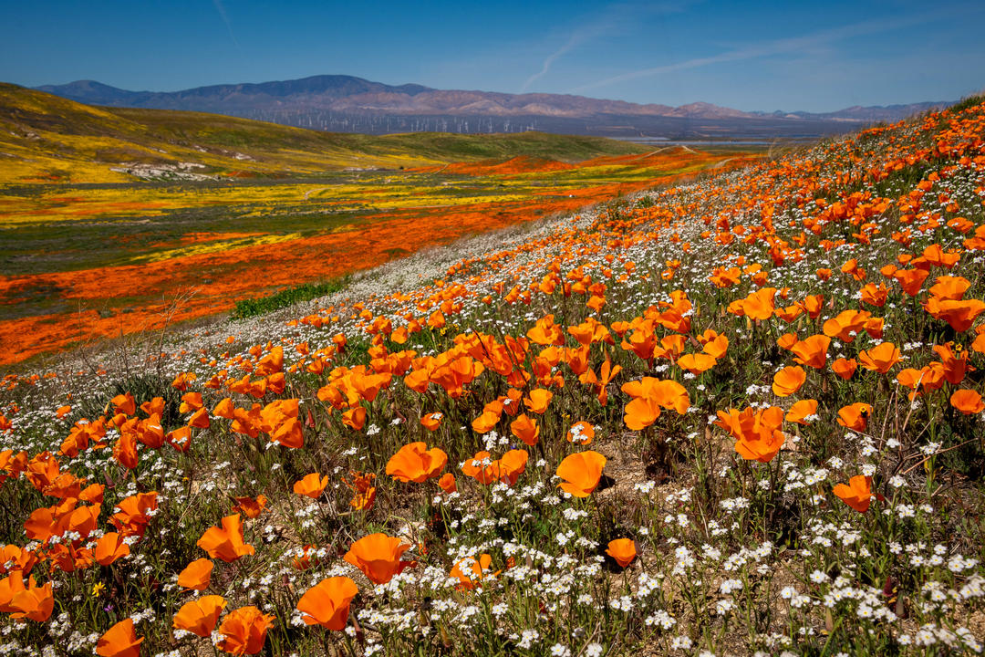 25 Best Things To Do In Southern California, USA | Planet of Hotels