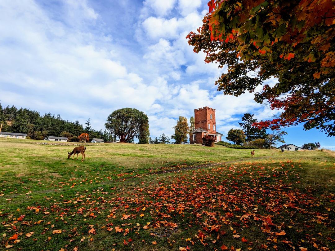 Discovering Fort Worden: 5 Activities in this Historic Destination for ...