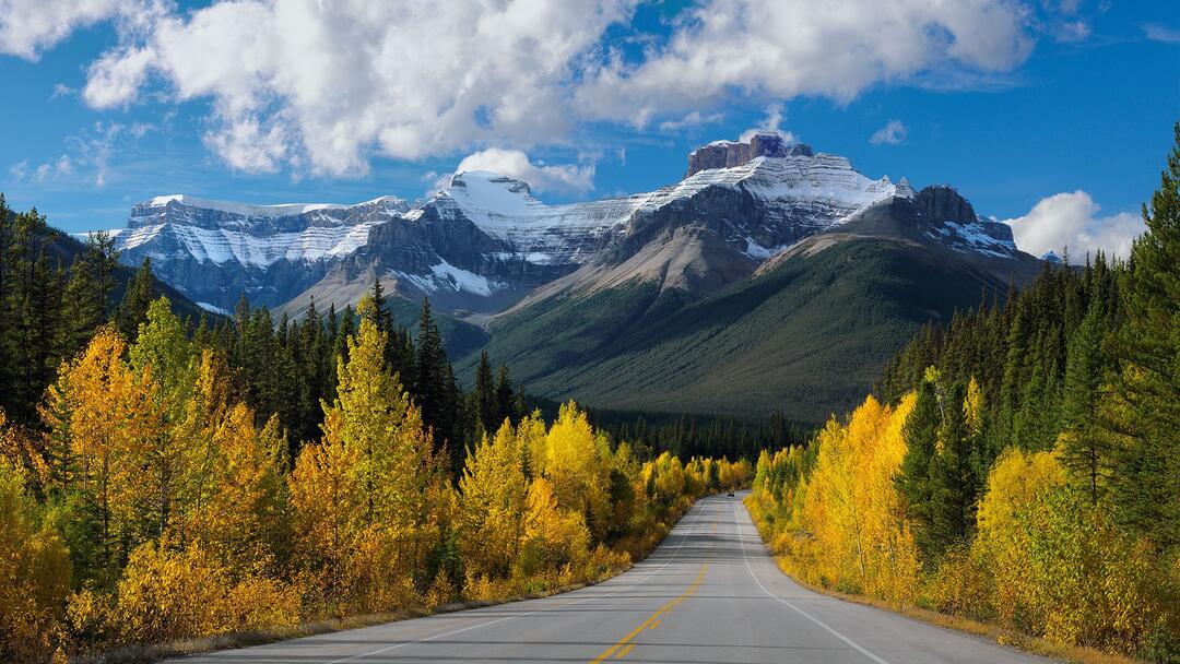 Top 30 Scenic Drives on the Most Beautiful Roads in the World | Planet ...